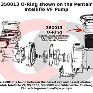 Captain O-Ring - 350013 Lid O-Ring - Compatible with Pentair IntelliFlo, WhisperFlo, Challenger and Pinnacle Pool and Spa Pumps