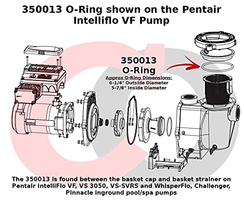 Captain O-Ring - 350013 Lid O-Ring - Compatible with Pentair IntelliFlo, WhisperFlo, Challenger and Pinnacle Pool and Spa Pumps