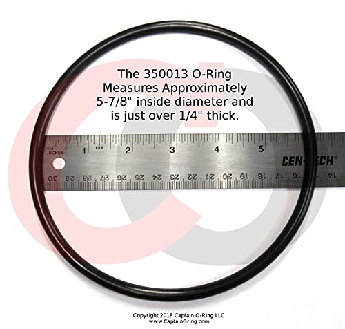 Captain O-Ring - 350013 Lid O-Ring - Compatible with Pentair IntelliFlo, WhisperFlo, Challenger and Pinnacle Pool and Spa Pumps