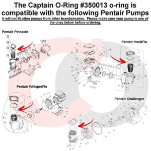 Captain O-Ring - 350013 Lid O-Ring - Compatible with Pentair IntelliFlo, WhisperFlo, Challenger and Pinnacle Pool and Spa Pumps