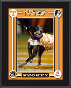 tennessee volunteers smokey dog mascot sublimated 10.5" x 13" plaque - college team plaques and collages