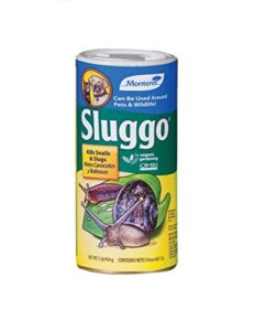 sluggo plus 1 lb