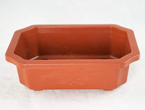 4 Rectangular Plastic Bonsai/Succulent Pots 6.25"x 4.5"x 2" - Dark Orange