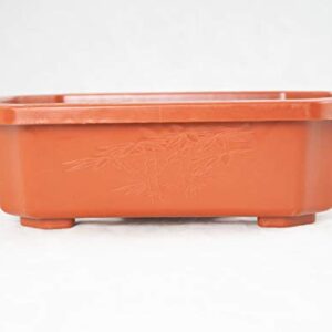 4 Rectangular Plastic Bonsai/Succulent Pots 6.25"x 4.5"x 2" - Dark Orange