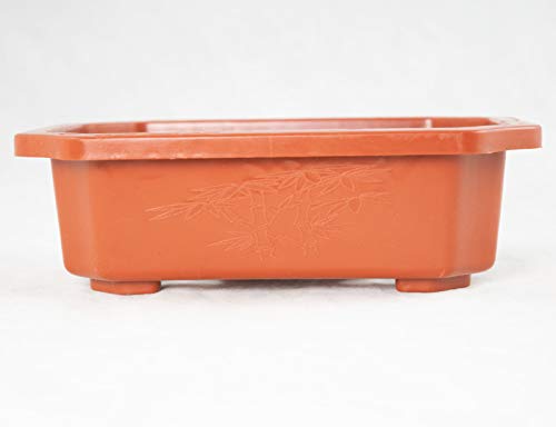 4 Rectangular Plastic Bonsai/Succulent Pots 6.25"x 4.5"x 2" - Dark Orange