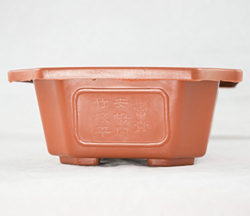 4 Rectangular Plastic Bonsai/Succulent Pots 6.25"x 4.5"x 2" - Dark Orange