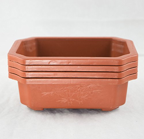 4 Rectangular Plastic Bonsai/Succulent Pots 6.25"x 4.5"x 2" - Dark Orange