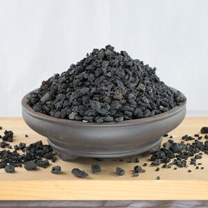 3 gal. - 1/16" to 1/2" horticultural black lava for cactus & succulent, bonsai tree soil mix - inorganic additive