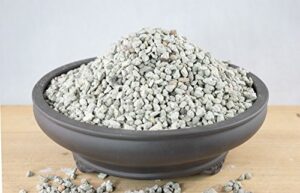 3 gal. 3/16" small grain horticultural pumice for cactus & succulent, bonsai tree soil mix