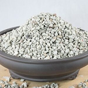 3 Gal. 3/16" Small Grain Horticultural Pumice for Cactus & Succulent, Bonsai Tree Soil Mix