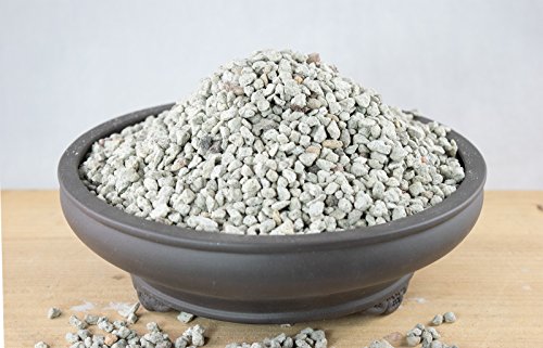 3 Gal. 3/16" Small Grain Horticultural Pumice for Cactus & Succulent, Bonsai Tree Soil Mix