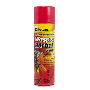 enforcer wasp and hornet killer