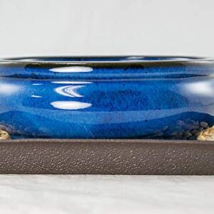 6" Oval Dark Blue Mame Shohin Bonsai/Succulent Pot + Tray + Rock + Mesh Combo