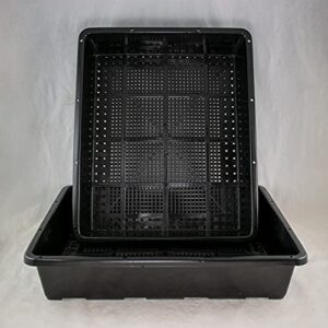 calibonsai 2 x black plastic tray for propagation, bonsai forest/group planting 15"x 12"x 3"