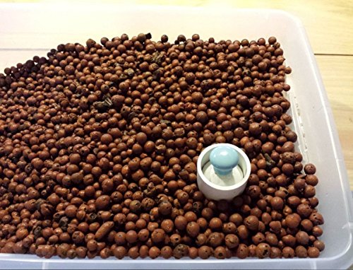 Aquaponics Auto Bell Siphon Kit 6" Media or Smaller Grow Bed Mini Garden! Great For Half 5Gal Dutch Buckets, Over 7000 Siphons Sold