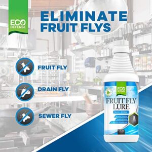 Eco Defense Fruit Fly Killer – Natural Fruit Fly Trap & Drain Fly Killer Treatment for Indoor Fly Control in Kitchen, Restaurants, and More 16 oz