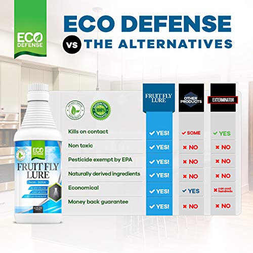 Eco Defense Fruit Fly Killer – Natural Fruit Fly Trap & Drain Fly Killer Treatment for Indoor Fly Control in Kitchen, Restaurants, and More 16 oz