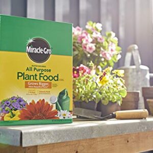 Miracle-Gro Water Soluble All Purpose Plant Food, 4-pack