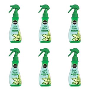 scotts leaf shine, 8-ounce (6 pack)