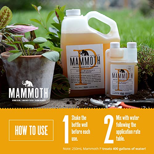 Mammoth Organic Bloom Booster | Mammoth P Organic Fertilizer Microbial Inoculant | 16% Proven Increase in Yield | University Developed and Growers Approved (250 ml)