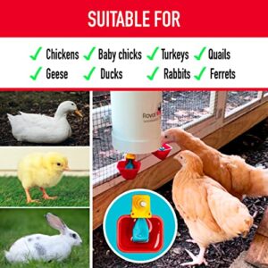 Royal Rooster 1 Gallon Automatic Twin Chicken Waterer with 2 Gravity-Feed Valve-Operated Drinking Cups - Indoor and Outdoor Coop Hanging Chicken, Duck and Poultry Water Dispensing System