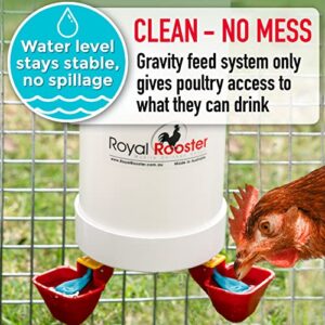 Royal Rooster 1 Gallon Automatic Twin Chicken Waterer with 2 Gravity-Feed Valve-Operated Drinking Cups - Indoor and Outdoor Coop Hanging Chicken, Duck and Poultry Water Dispensing System