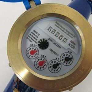 PRM 1 Inch NPT Multi Jet Water Meter, Brass Body - Not for Potable Water