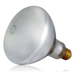 hayward spx0504z7, spx504-z-7, spx504-z7, sp0503, sp0504, 500 watt 120 volt, r40 light pool/spa flood lamp bulb