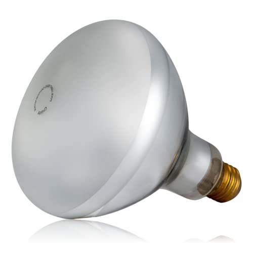 Hayward SPX0504Z7, SPX504-Z-7, SPX504-Z7, SP0503, SP0504, 500 Watt 120 Volt, R40 Light Pool/Spa Flood Lamp Bulb