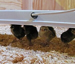 SWEETER HEATER Infrared Heater for Chicks & Pets, Flush Mount 11x40, 150 Watt