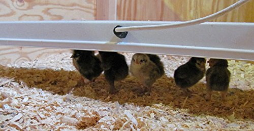 SWEETER HEATER Infrared Heater for Chicks & Pets, Flush Mount 11x40, 150 Watt