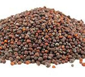 Non-GMO Broccoli Seeds for Sprouting Sprouts Microgreens (12oz of Pure Seed (60000+Seeds)). Country Creek LLC. Brand.