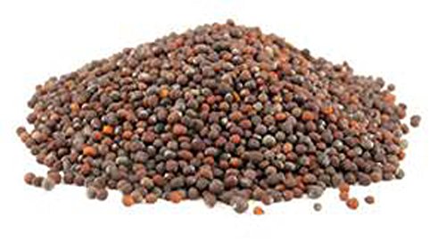 Non-GMO Broccoli Seeds for Sprouting Sprouts Microgreens (12oz of Pure Seed (60000+Seeds)). Country Creek LLC. Brand.