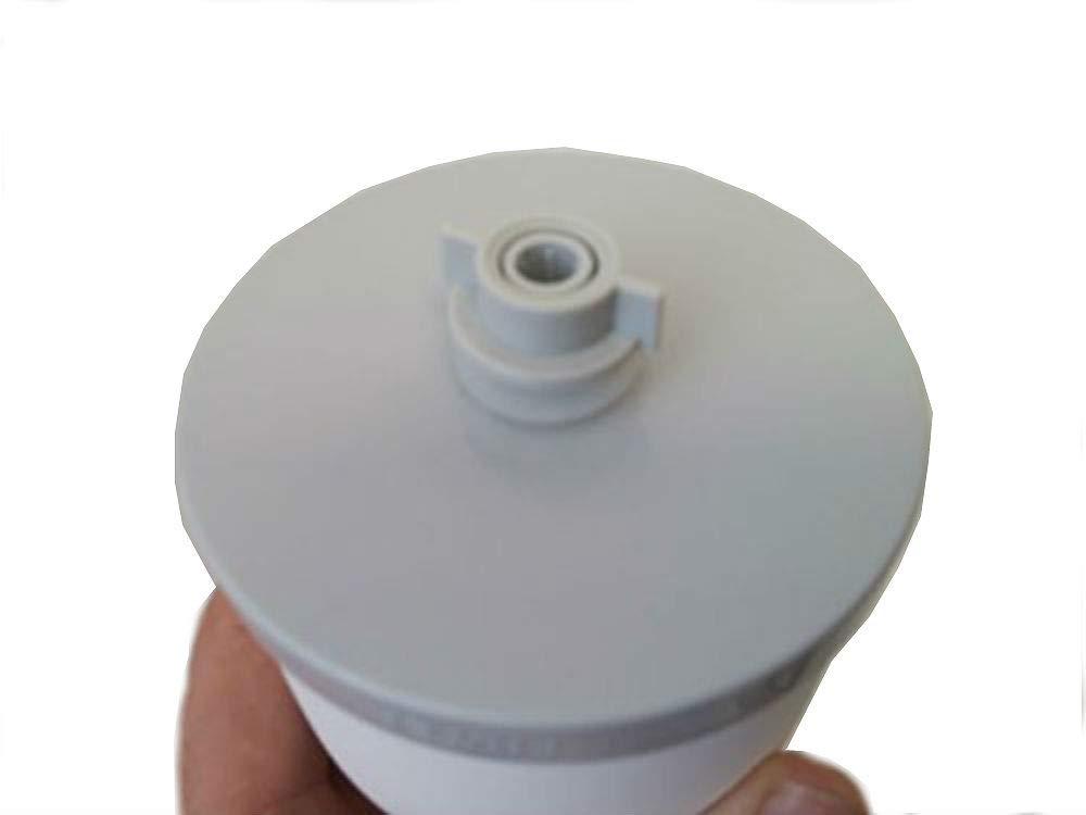 Ceramic Dome Water Filter Element with Silver Purification (4)