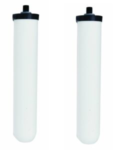 mountain plumbing 661rfc mountain pure replacement cartridge for water filtration system. [two pack]