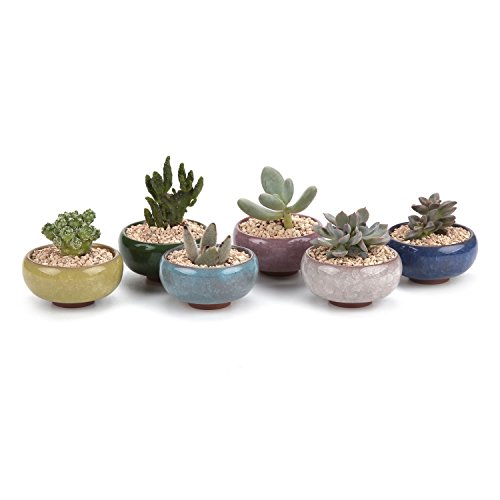 T4U 2.5 Inch Small Ceramic Succulent Planter Pot with Drainage Hole Set of 6, Ice Crack Glaze Porcelain Handicraft Plant Container Gift for Mom Sister Aunt Best for Home Office Desk Decoration