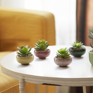 T4U 2.5 Inch Small Ceramic Succulent Planter Pot with Drainage Hole Set of 6, Ice Crack Glaze Porcelain Handicraft Plant Container Gift for Mom Sister Aunt Best for Home Office Desk Decoration