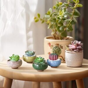 T4U 2.5 Inch Small Ceramic Succulent Planter Pot with Drainage Hole Set of 6, Ice Crack Glaze Porcelain Handicraft Plant Container Gift for Mom Sister Aunt Best for Home Office Desk Decoration