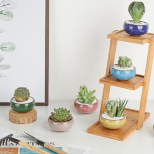 T4U 2.5 Inch Small Ceramic Succulent Planter Pot with Drainage Hole Set of 6, Ice Crack Glaze Porcelain Handicraft Plant Container Gift for Mom Sister Aunt Best for Home Office Desk Decoration