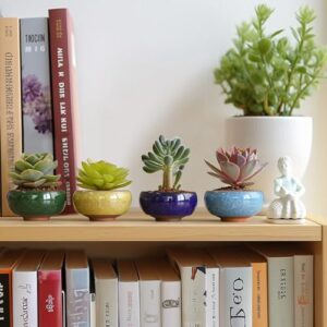 T4U 2.5 Inch Small Ceramic Succulent Planter Pot with Drainage Hole Set of 6, Ice Crack Glaze Porcelain Handicraft Plant Container Gift for Mom Sister Aunt Best for Home Office Desk Decoration