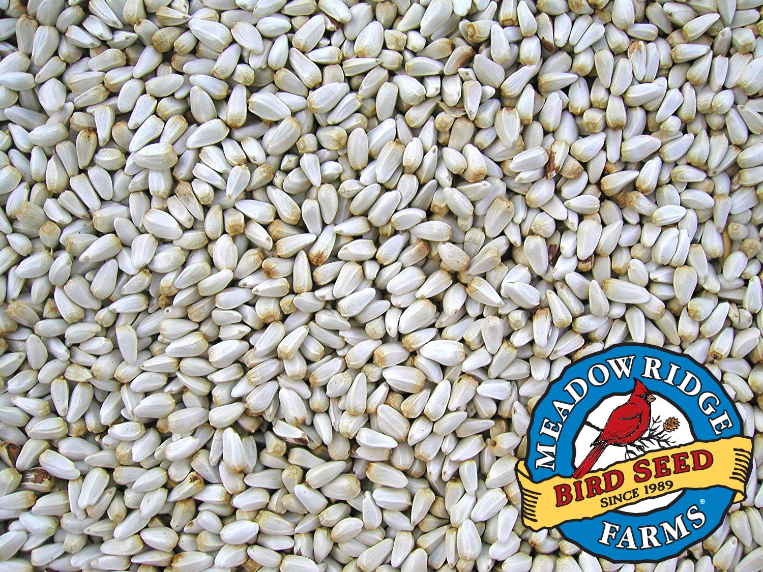 Meadow Ridge Farms Safflower Bird Seed, 20-Pound Bag