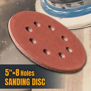 POWERTEC 45004 5 Inch 8 Hole Hook and Loop Sanding Discs, 40 Grit, 25PK, Sandpaper for Random Orbital Sanders