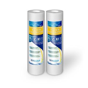 5 micron sediment water filter cartridge 2 pack replacement set well-matched with p5, ap110, wfpfc5002, cfs110, rs14, whkf-gd05