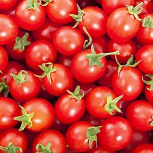 30+ Sweetie Cherry a.k.a. Sugar Sweetie Tomato Seeds, Heirloom Non-GMO, Extra Sweet, Heavy-Yielding, Indeterminate, Open-Pollinated, Delicious, from USA