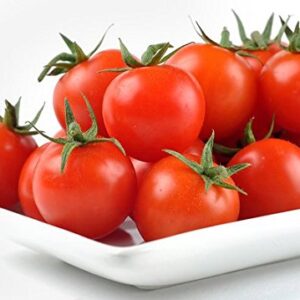 30+ Sweetie Cherry a.k.a. Sugar Sweetie Tomato Seeds, Heirloom Non-GMO, Extra Sweet, Heavy-Yielding, Indeterminate, Open-Pollinated, Delicious, from USA