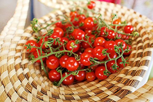 30+ Sweetie Cherry a.k.a. Sugar Sweetie Tomato Seeds, Heirloom Non-GMO, Extra Sweet, Heavy-Yielding, Indeterminate, Open-Pollinated, Delicious, from USA