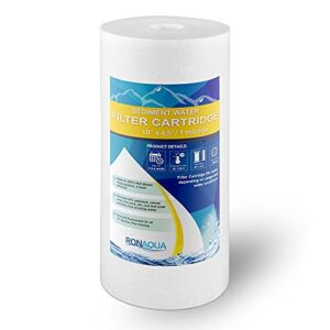 6PP-10B-1M Big Whole House Water Filter Sediment, 4.5x10-Inches, 1Micron WELL-MATCHED with RFC-BBSA, W15-PR, WFHD13001B, GXWH35F, GXWH30C, HF45-10BLBK10PR and AP817 6-Pack