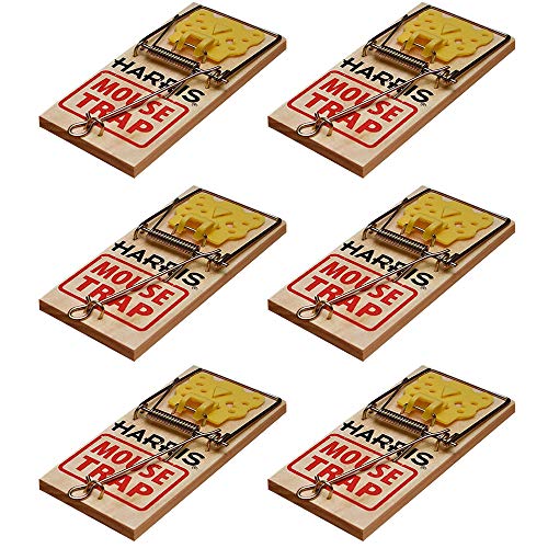 Harris Wooden Mouse Snap Traps (6-Pack)