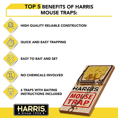 Harris Wooden Mouse Snap Traps (6-Pack)