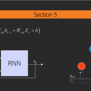 Deep Learning with Python [Online Code]